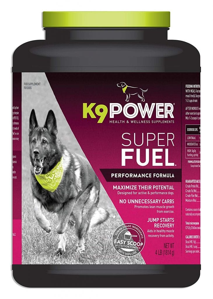 Building muscle strength in three legged dogs – Tripawds Nutrition
